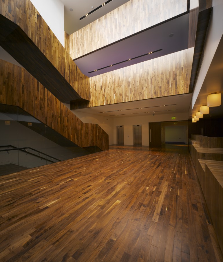 Wexford Opera House | Architects' Republic